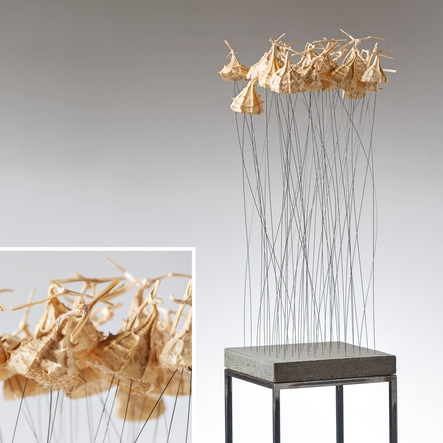 19 Anja Maria Strauss - Die Benefiz Kunstauktion